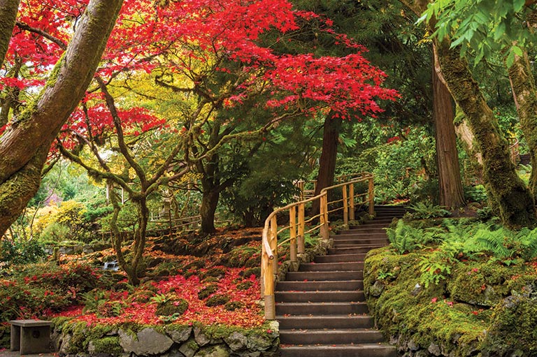 Prairie icons - Canada's History