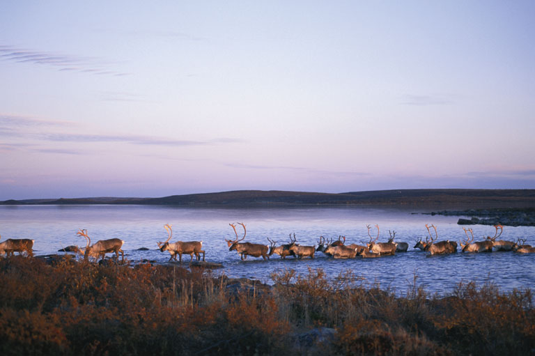 Canada's History - Canada's History